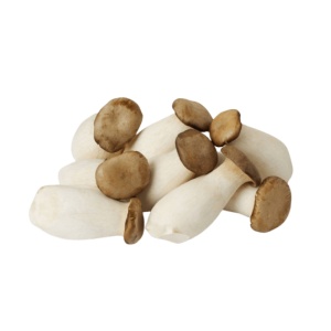 Jamur Tiram - Sufarm